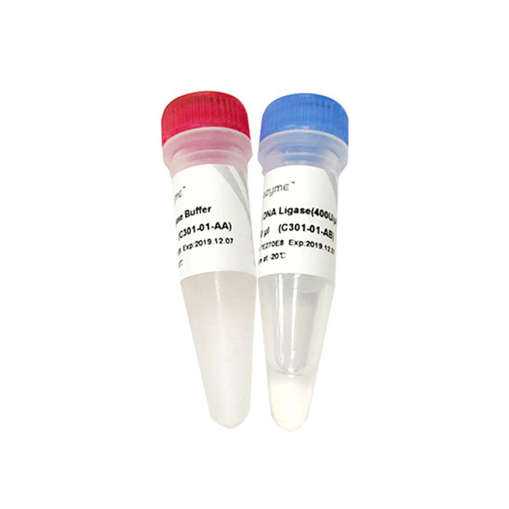 T4 Dna Ligase(催化dsdna平末端或粘性末端连接反应的t4连接酶)(c301)价格详情介绍 960化工网 960化工网